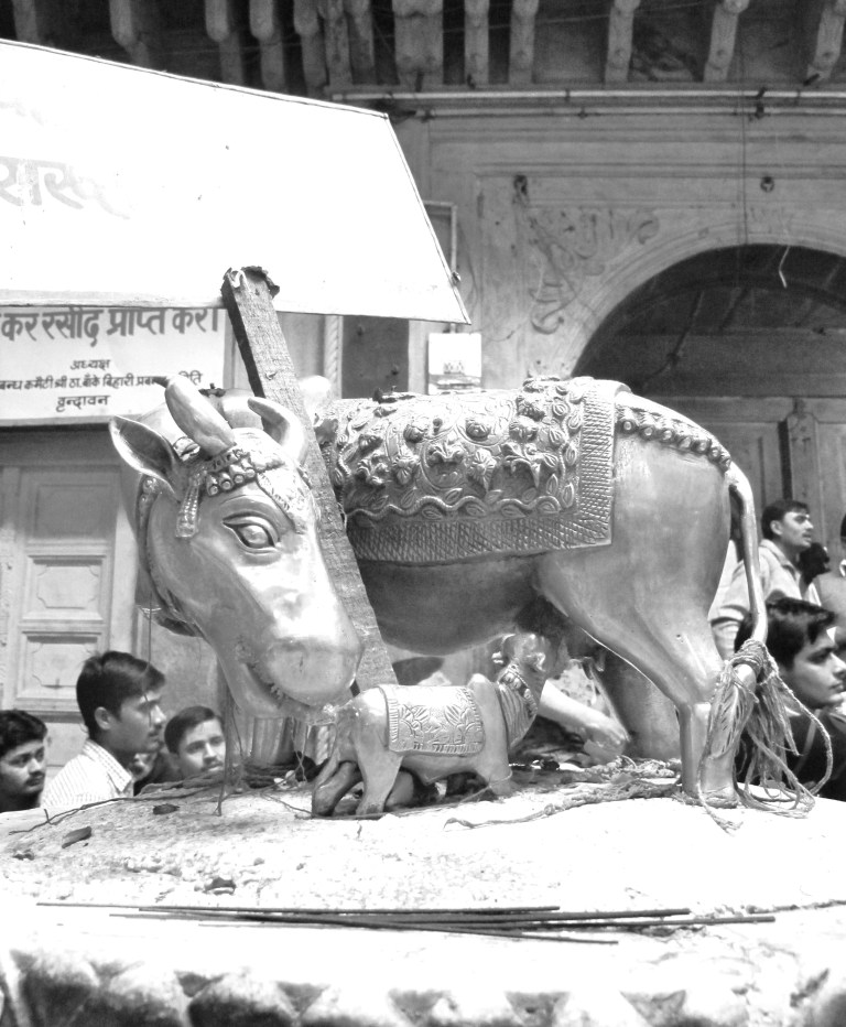 ghee – julia wunderlich